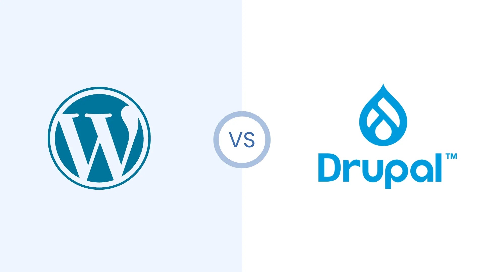 Why Is Drupal Still Relevant When WordPress Is So Widely Used? - Transfer Website